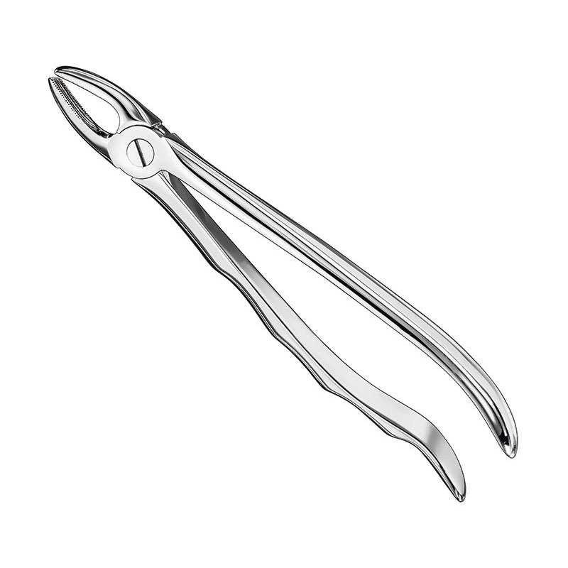 Extracting forceps, anat. - FamCare Instruments